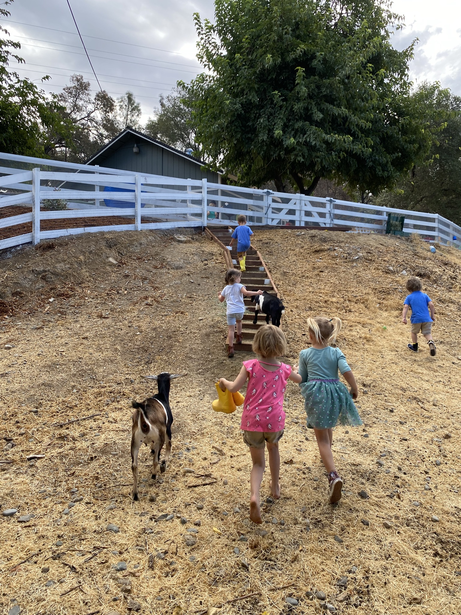 preschool Granite Bay Daily Activities - Step by Step, Paso a Paso